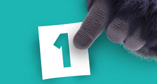 Home | Monster Government Solutions